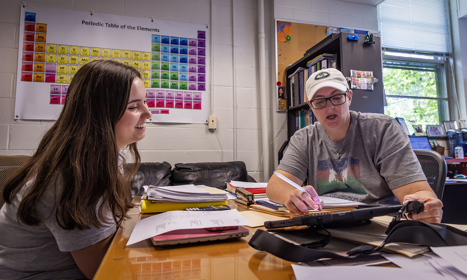 Professors Scholars Guides